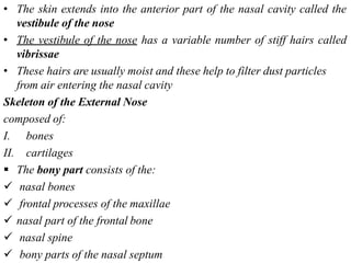 nose respiratory | PPTX