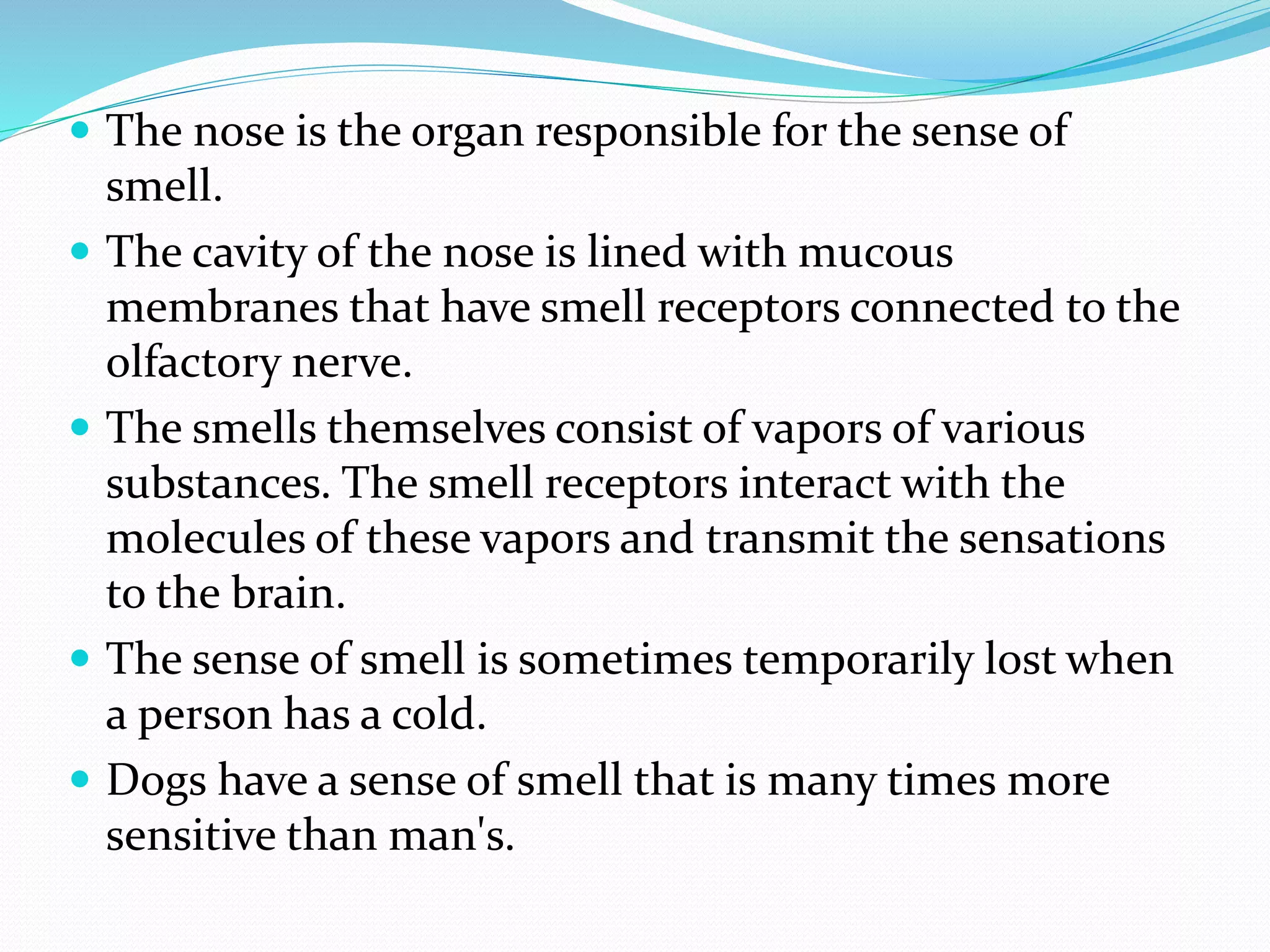 Nose & sense of smell | PPTX