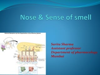 Nose & sense of smell | PPTX