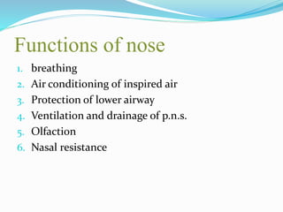 Nose & sense of smell | PPTX