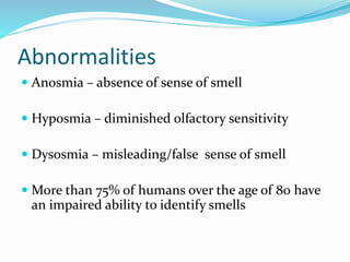 Nose & sense of smell | PPTX