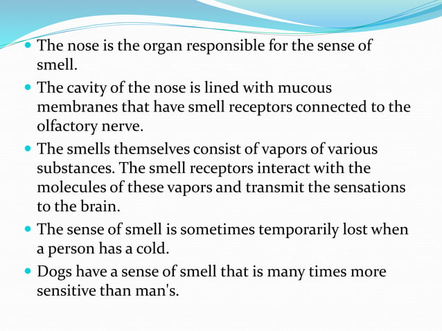 Nose & sense of smell | PPTX | Ear, Nose and Throat Conditions ...