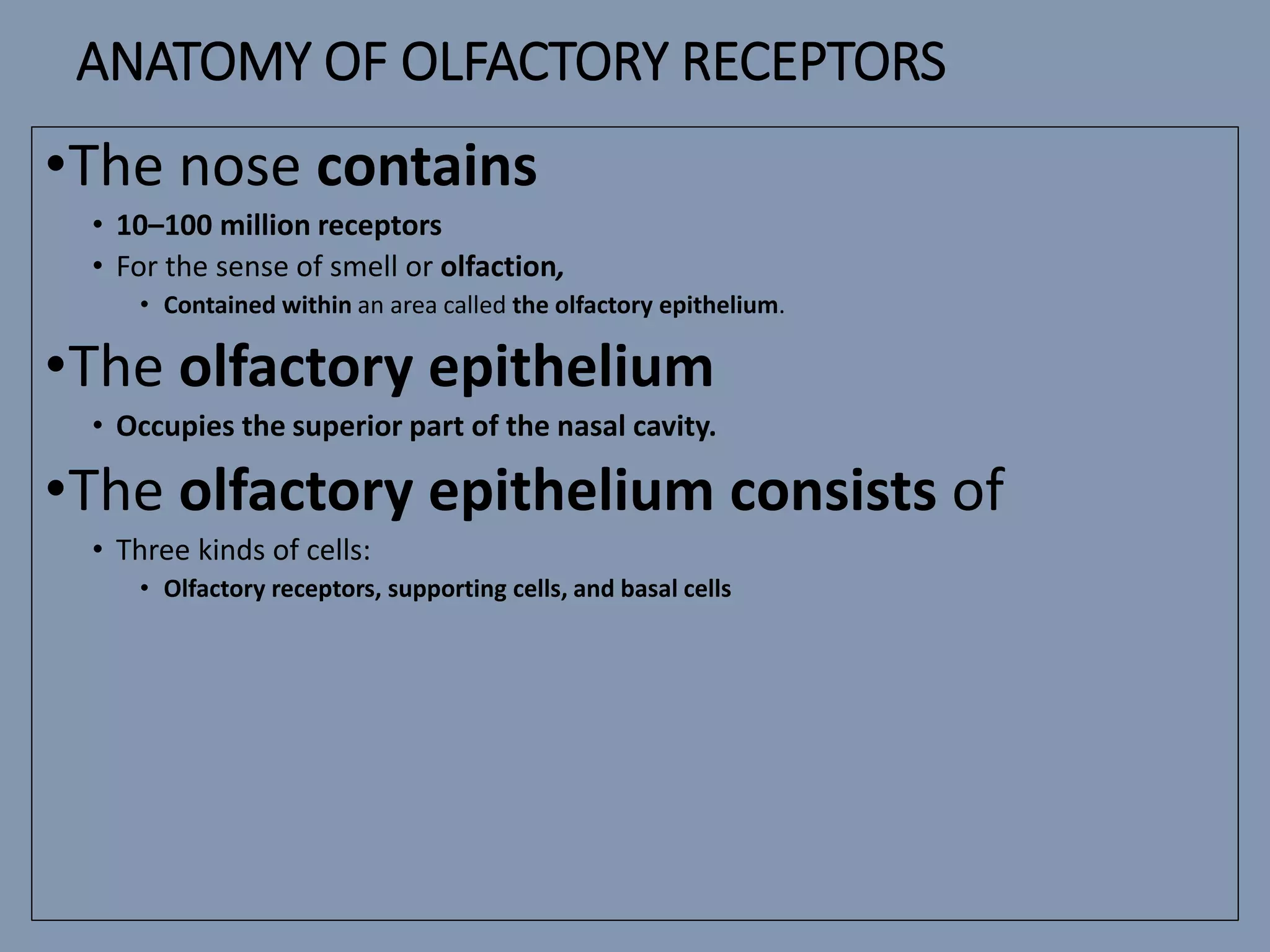 Nose anatomy, function and diagrams | PPTX