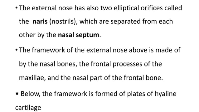 Nose and olfaction- sense of smell (sense organ) | PPTX