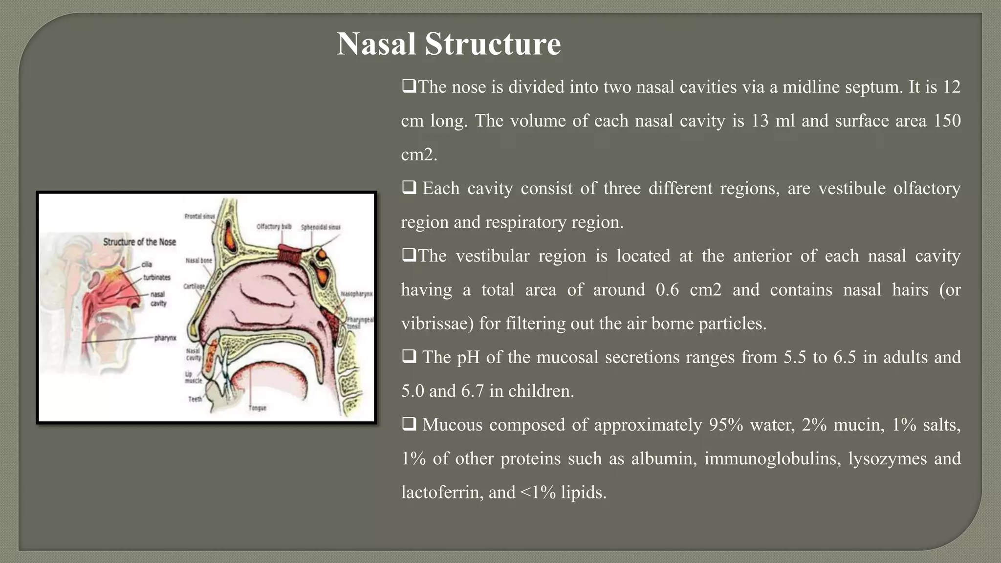 Nose to brain drug delivery system | PPTX