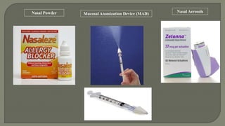 Nose to brain drug delivery system | PPTX