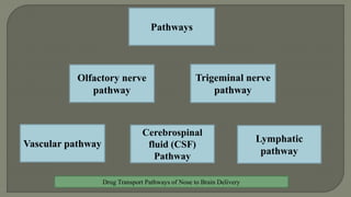 Nose to brain drug delivery system | PPTX