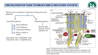Nose to Brain Targeted Drug Delivery.pptx