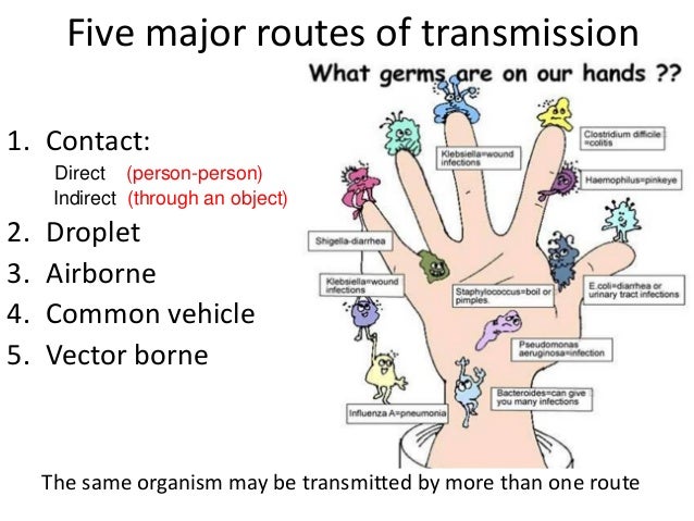 Nosocomial fungal infections