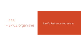 Nosocomial Gram negative Infections | PDF