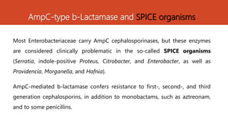 Nosocomial Gram negative Infections | PDF