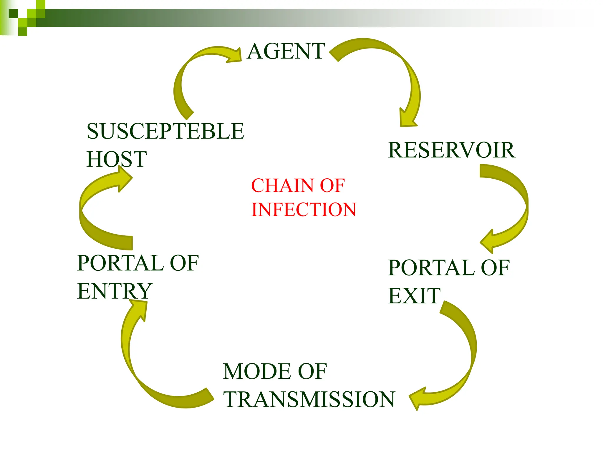 NOSOCOMIAL INFECTIIONS Bsc nursing hospital acquired infection PPT 1.pptx