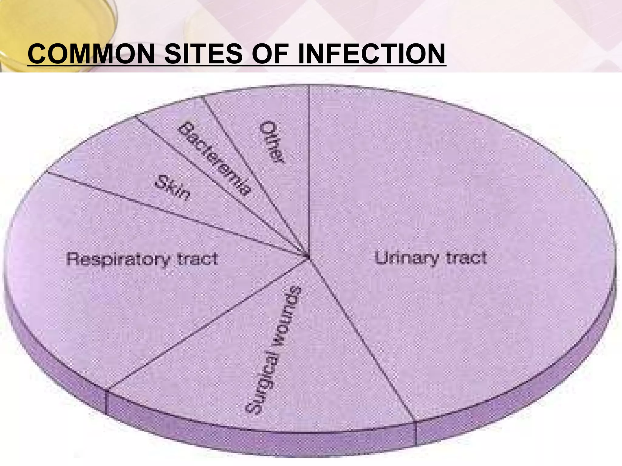 Nosocomial Infection | PPT