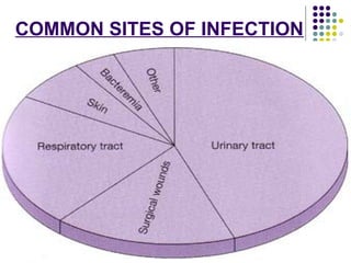 Hospital acquired infectionn nursing management | PPT