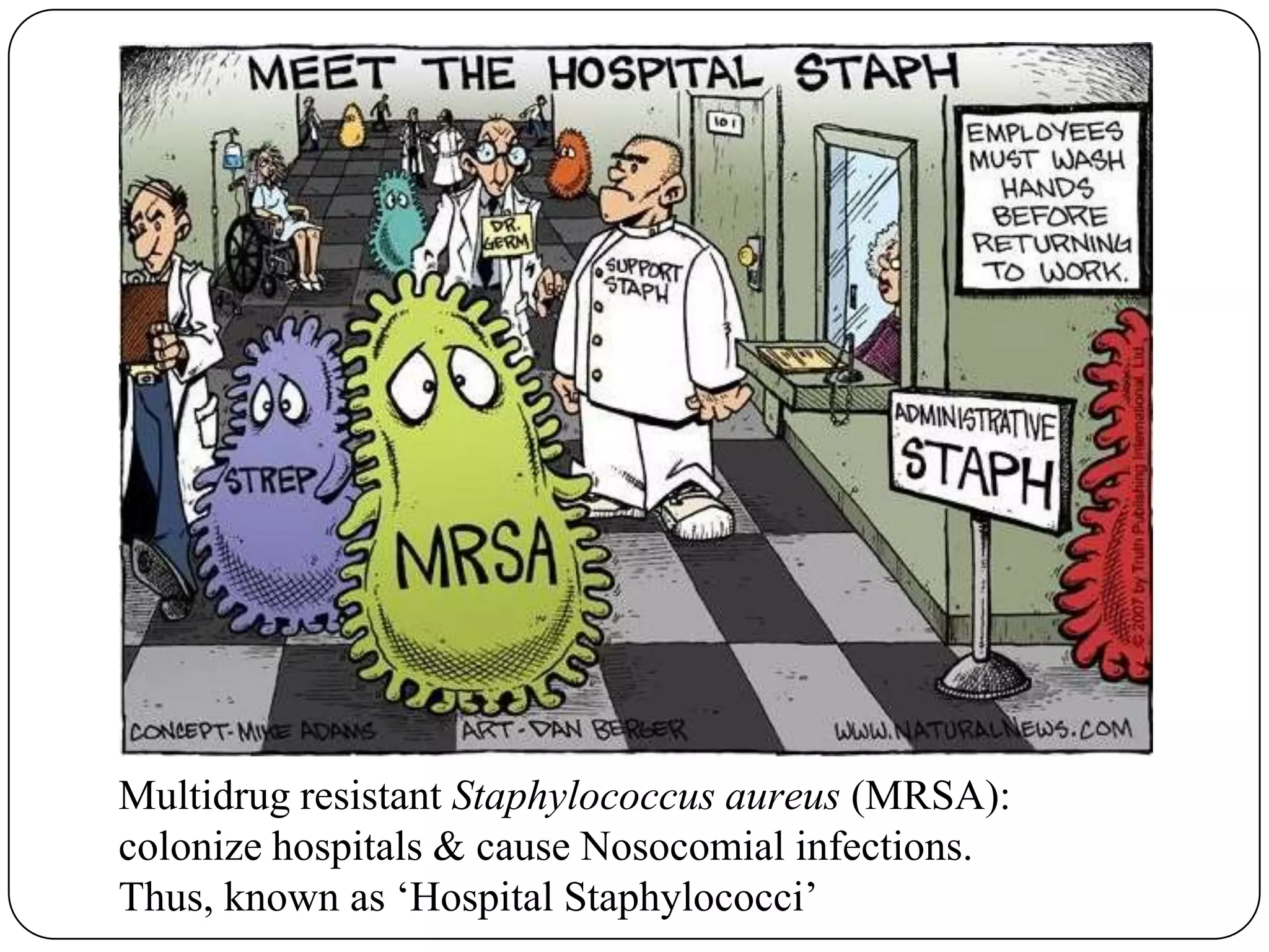 Nosocomial infection & control | PPSX