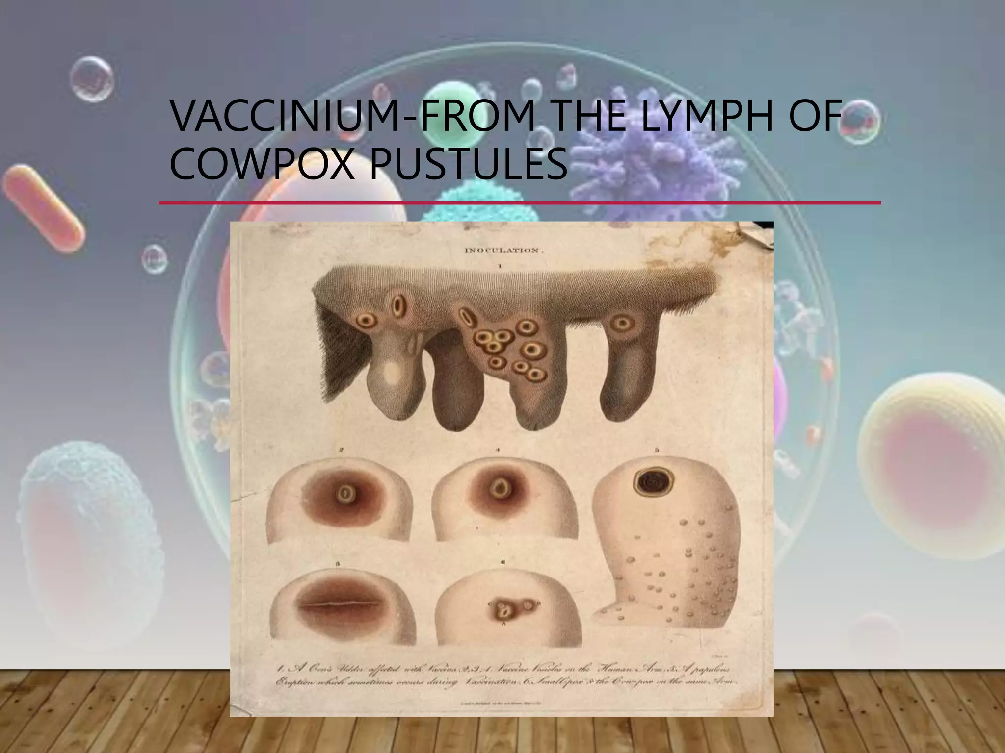 Nosodes in Homeopathy.pptx