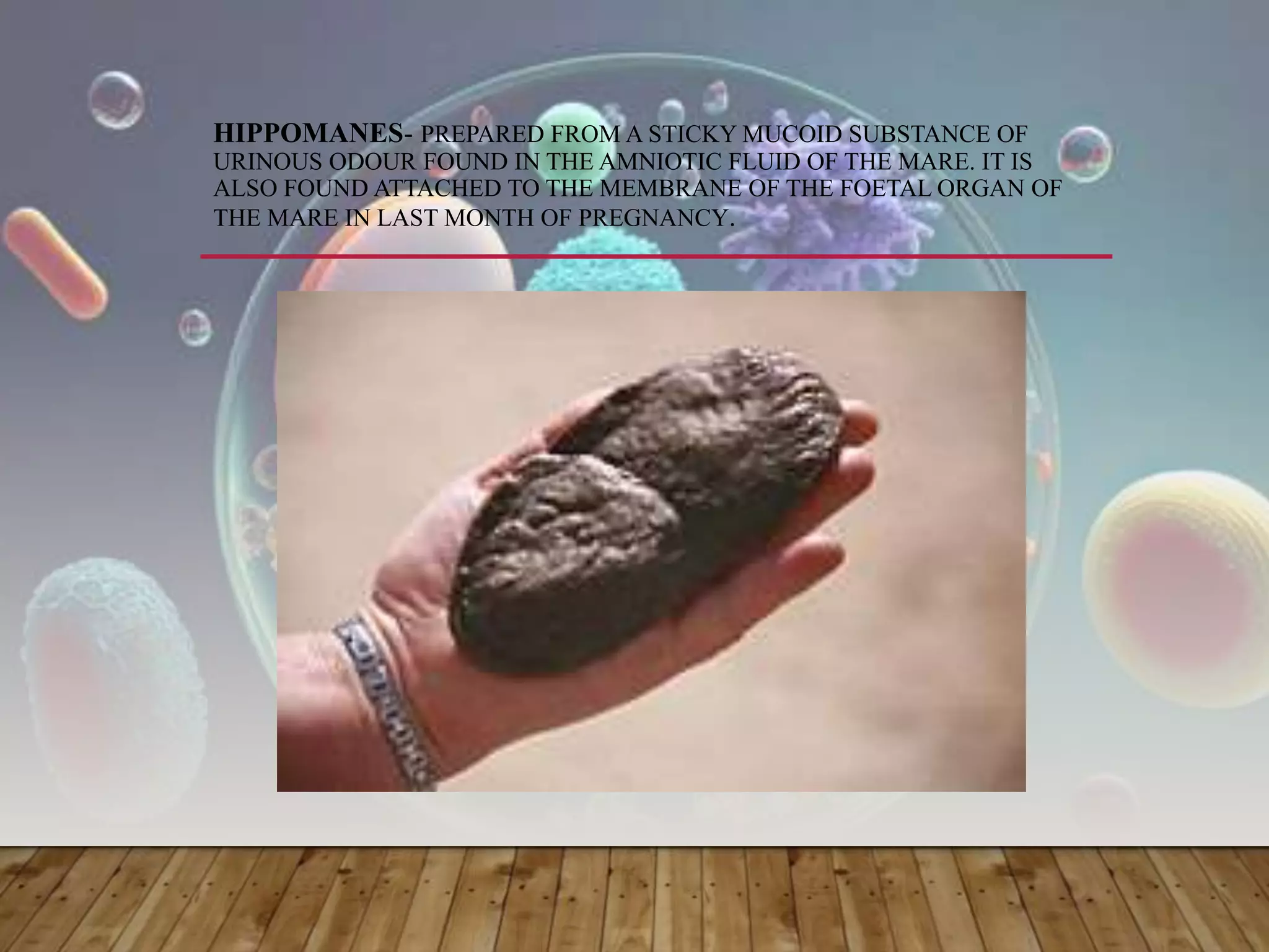 Nosodes in Homeopathy.pptx