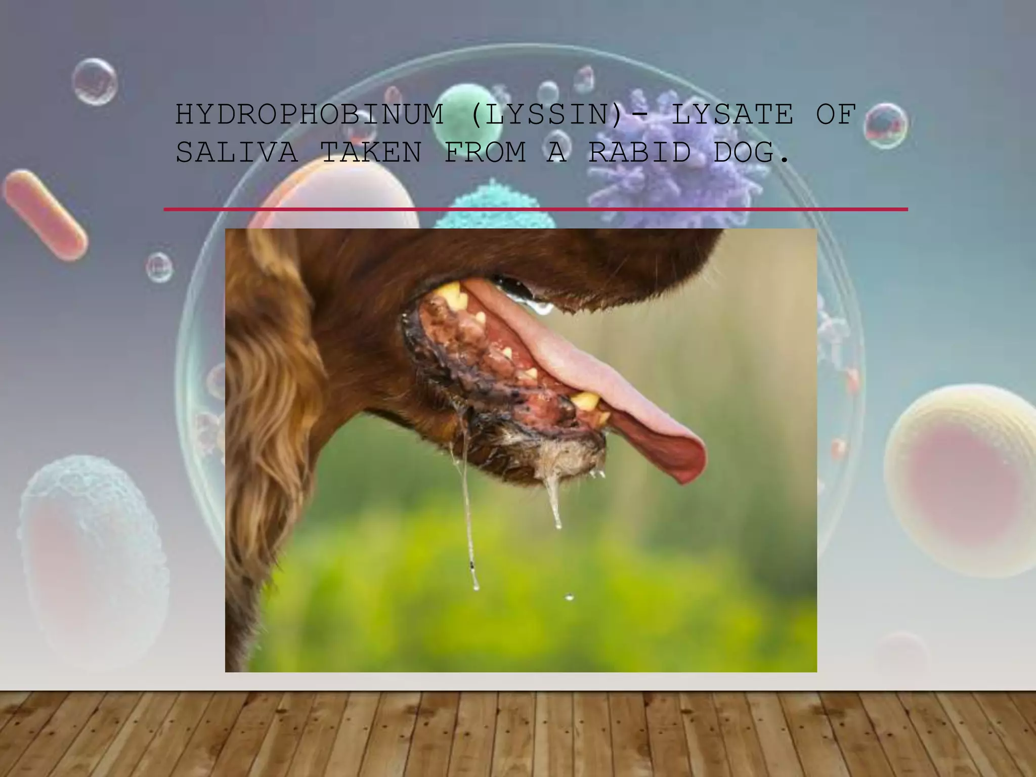 Nosodes in Homeopathy.pptx