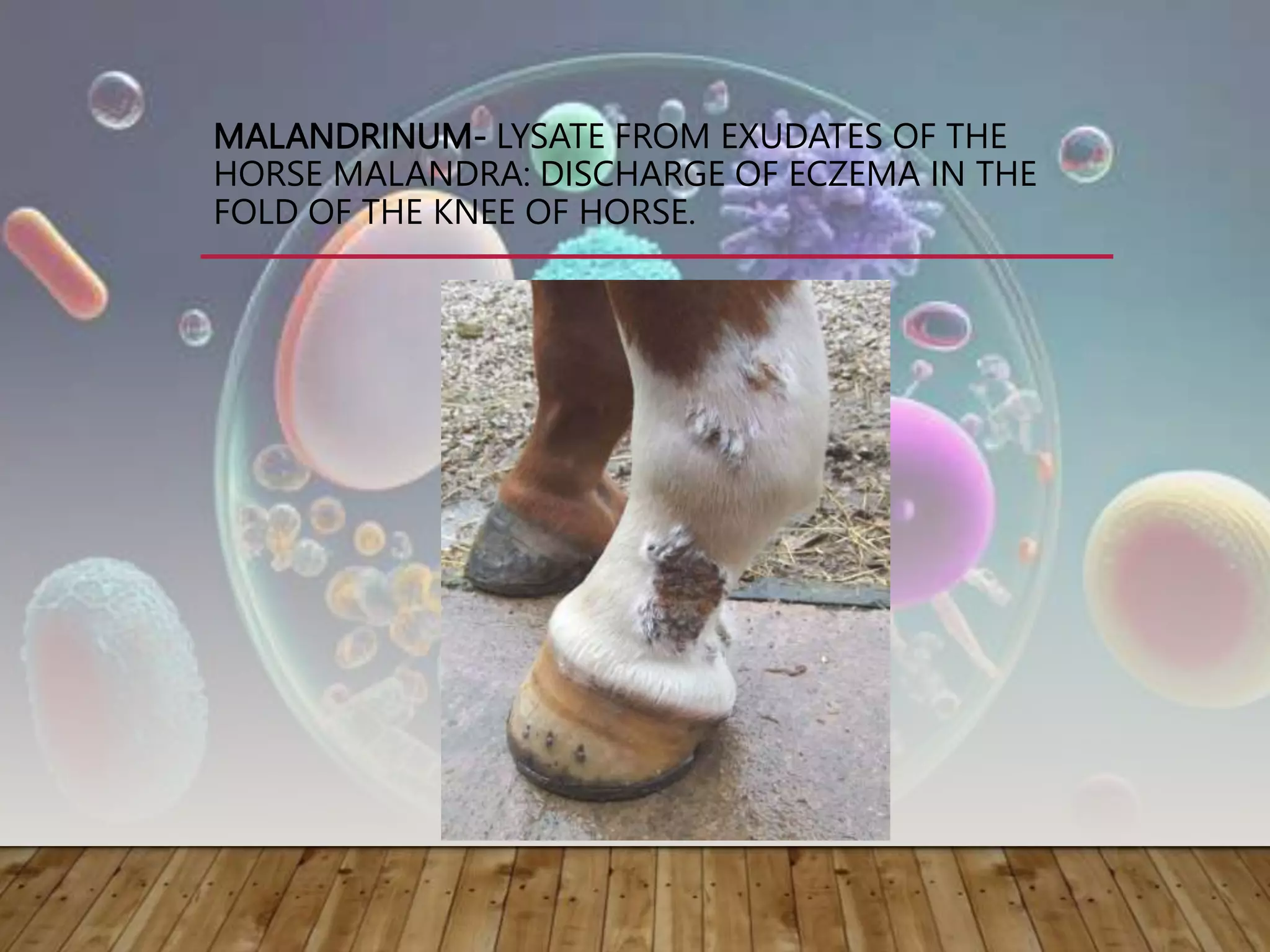 Nosodes in Homeopathy.pptx