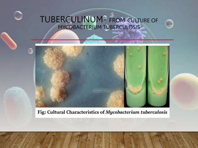 Nosodes in Homeopathy.pptx