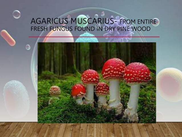 Nosodes in Homeopathy.pptx