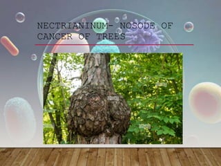 Nosodes in Homeopathy.pptx