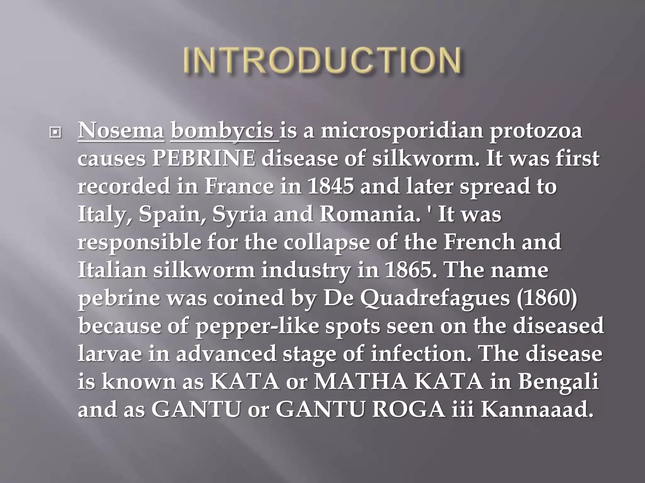 Nossima: a serious threat to silkworm | PPTX