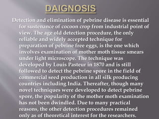 Nossima: a serious threat to silkworm | PPTX