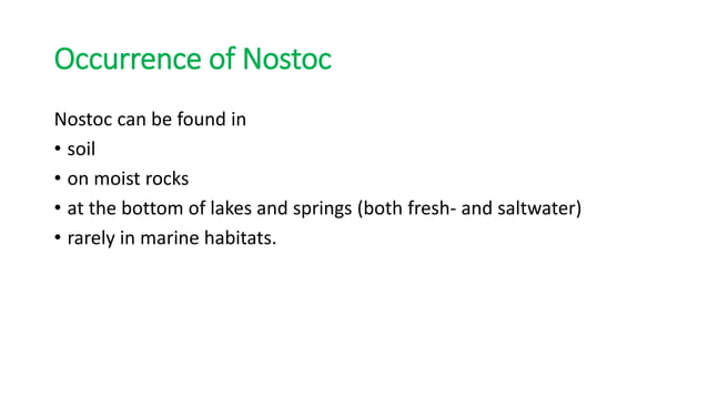 Nostoc | PPTX