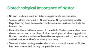 Nostoc | PPTX