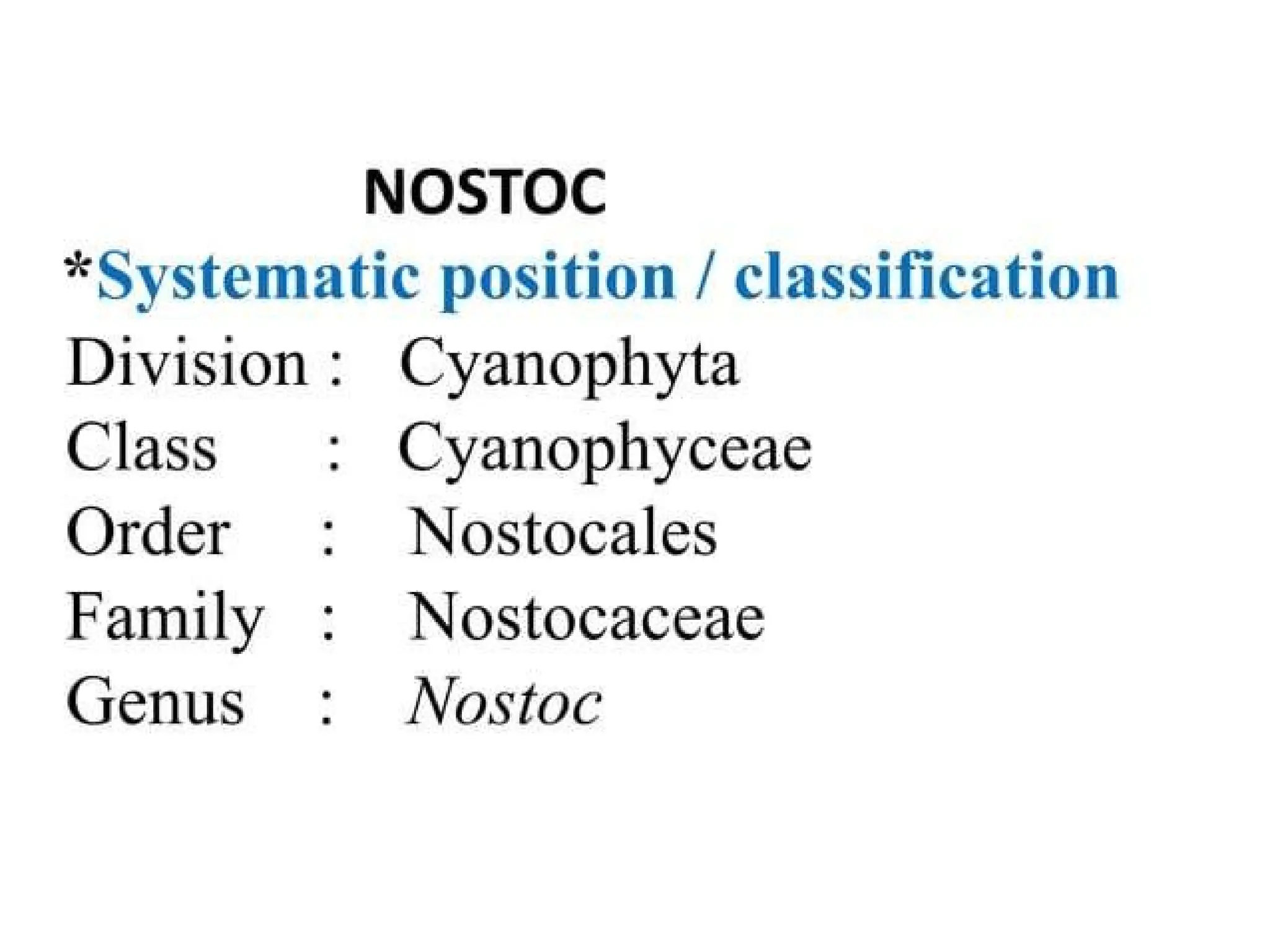 Morphology and Reproductive structures of Nostoc | PPTX