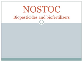NOSTOC -Power Point Presentation. introduction and other detail | PPTX