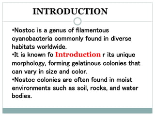 NOSTOC -Power Point Presentation. introduction and other detail | PPTX