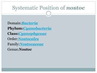 NOSTOC -Power Point Presentation. introduction and other detail | PPTX