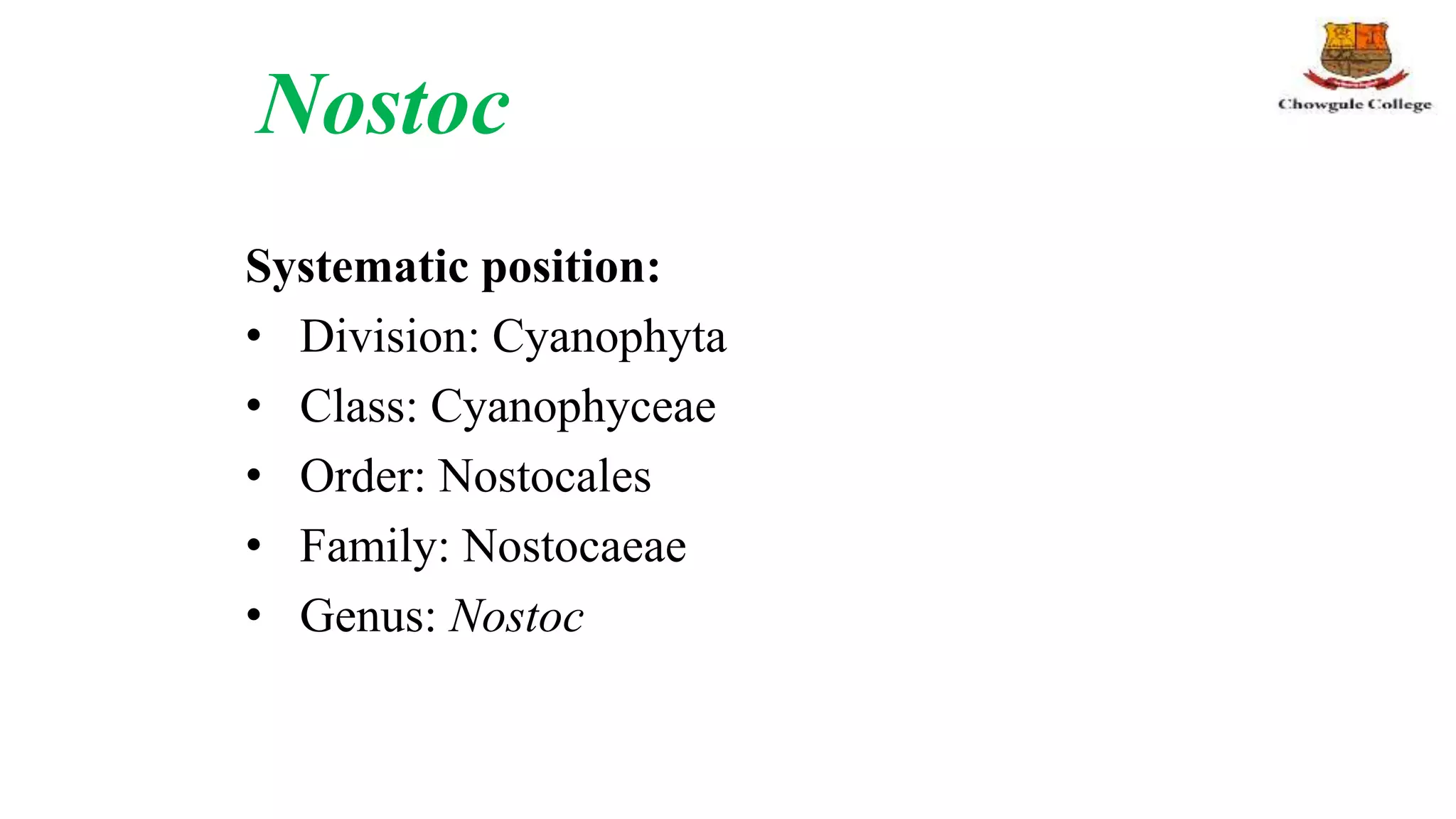 Nostoc and chara | PPTX