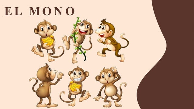 Nos vamos al zoo | PPTX