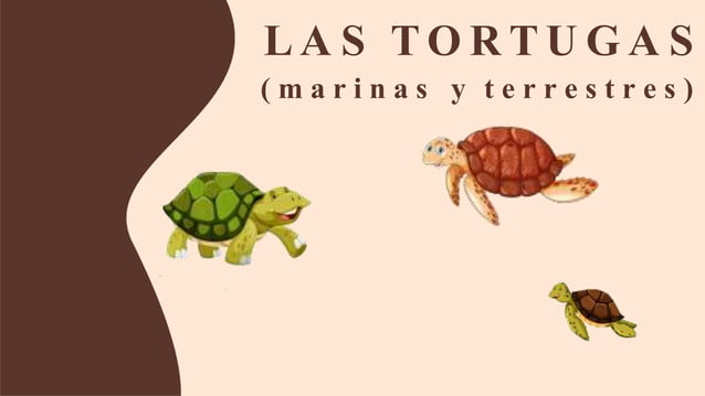 Nos vamos al zoo | PPT