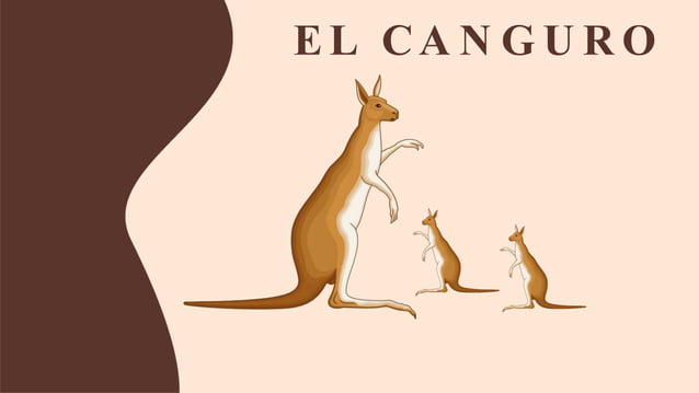 Nos vamos al zoo | PPTX