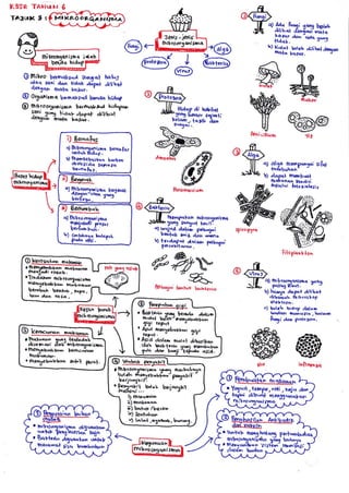 Nota sains-upsr | PDF