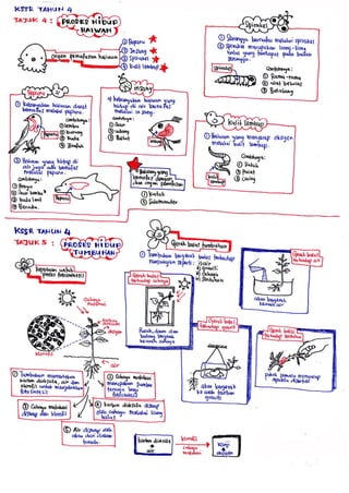 Nota sains-upsr | PDF