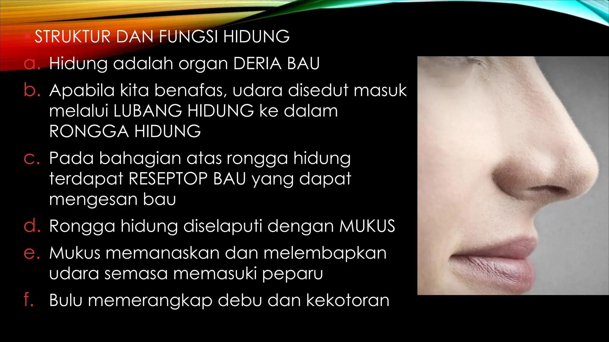 NOTA BAB 1 SAINS FORM 3.pdf (1.1 Sistem saraf manusia, 1.2 Rangsangan ...