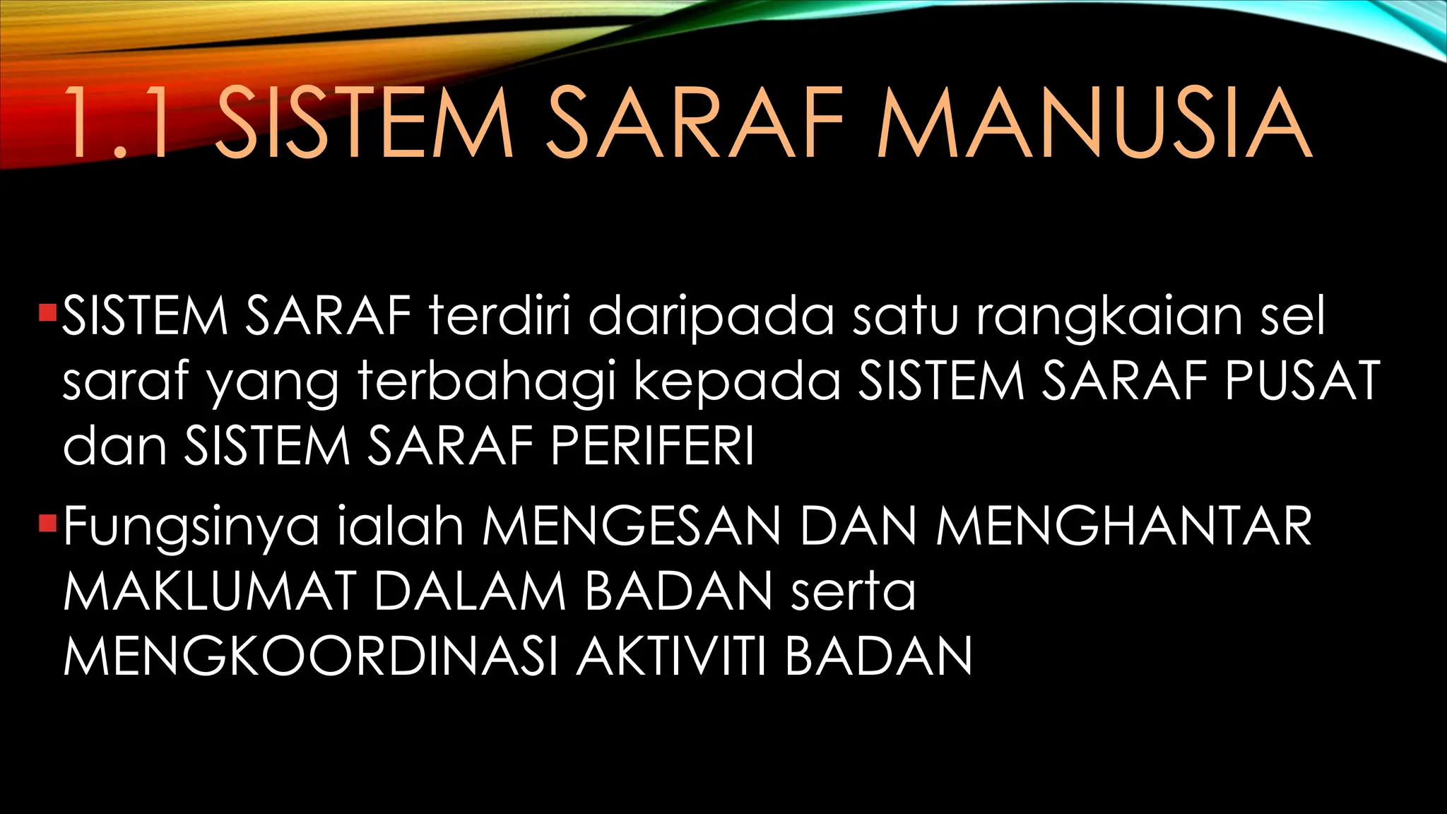 NOTA BAB 1 SAINS FORM 3.pdf (1.1 Sistem saraf manusia, 1.2 Rangsangan ...