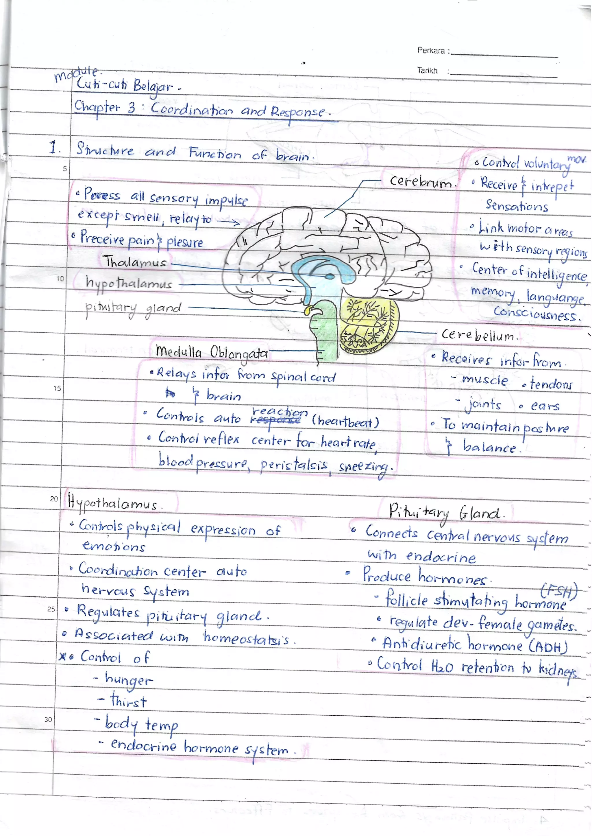 Nota Biologi Form 5 Bab 3 (English) 2015 | PDF