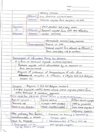 Nota Biologi Form 5 Bab 3 (English) 2015 | PDF