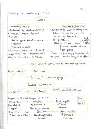 Nota Biologi Form 5 Bab 3 (English) 2015 | PDF