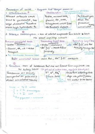 Nota Biologi Form 5 Bab 3 (English) 2015 | PDF