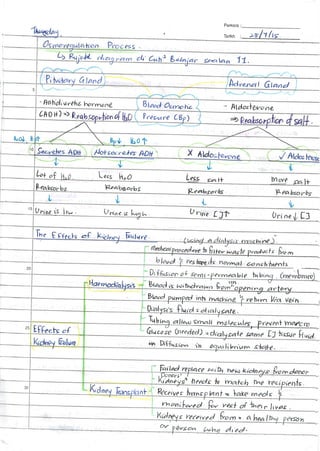 Nota Biologi Form 5 Bab 3 (English) 2015 | PDF