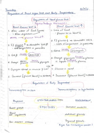 Nota Biologi Form 5 Bab 3 (English) 2015 | PDF