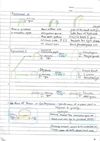 Nota Biologi Form 5 Bab 3 (English) 2015 | PDF