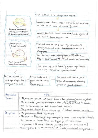 Nota Biologi Form 5 Bab 3 (English) 2015 | PDF